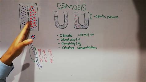 Guyton Chapter 4 Osmosis Summary Osmotic Pressure Osmolality Osmolarity Lecture 27