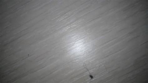 Карта грвити фолз Youtube