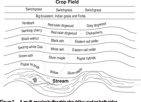 Strip Cropping Diagram