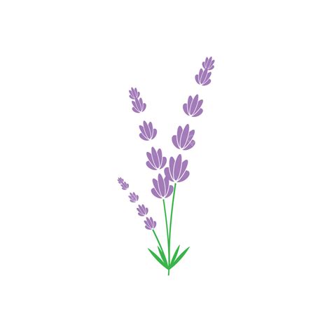Lavender Nature Vector Design Images Lavender Logo Template Vector