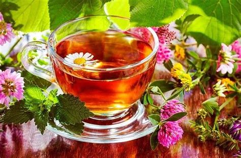 Травяные, цветочные и ягодные чаи – чем они полезны? | Натуральные ...