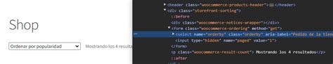 Wordpress Problema La Paginación No Se Borra Después De Aplicar