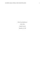 BUS FP StilesKelley Assessment Docx RUNNING HEAD ETHICAL ISSUE IDENTIFICATION Ethical