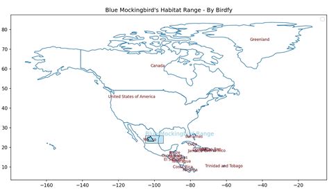 10 Types Of Thrasher Birds In North America A Bird Watchers Guide