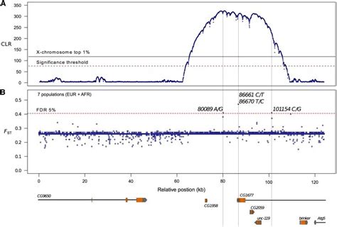 Evidence Of Positive Selection And Candidate Snps In The 124 Kb Region