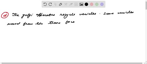 Solved The Image Is A Depiction Of A Golgi Apparatus Labeled At The Cis Face And Monitored For