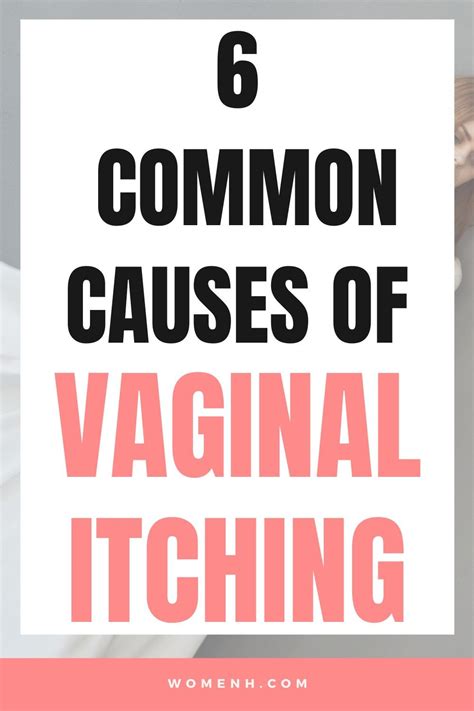 Vaginal Bleeding Vaginal Bleeding Causes Vaginal Bleeding After