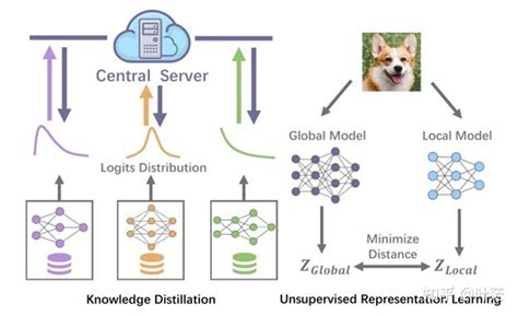 异构联邦学习综述：最新进展与研究挑战 知乎