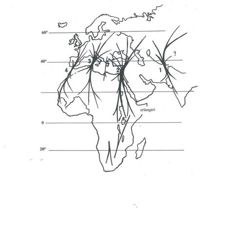 Main Migration Paths Of The Common Quail Coturnix Coturnix To From The Download Scientific