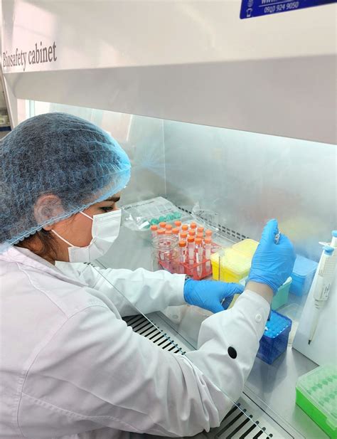 Cellculturecourse Lablife Scienceenthusiast Kimia Alasvand