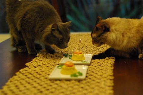Easy Tuna Birthday Cake For The Cats