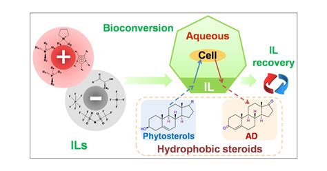 Evaluation Of Biocompatible Ionic Liquids For Their Application In