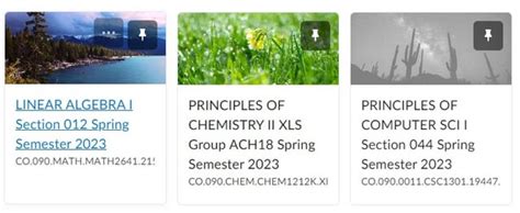 anyone else not seeing their classes in icollege r gastate