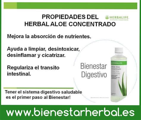 Beneficios De Aloe Vera De Herbalife At Rafael Gilliam Blog