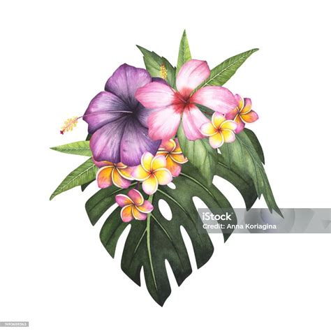 열대 꽃과 몬스테라 잎은 흰색 배경에 분리되어 있다 디자인을 위한 수채화 손으로 그린 식물 그림 0명에 대한 스톡 벡터 아트 및