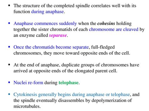 “where A Cell Exists There Must Have Been A Preexisting Cell Just As