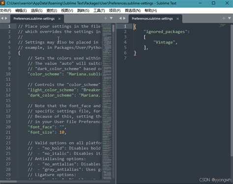 sublime text切换为简体中文并关闭更新 sublime最新版怎么设置中文 csdn博客