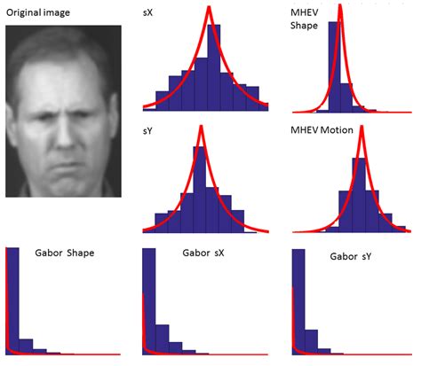 Filter Responses And Their Parametric Distributions All Fitting Download Scientific Diagram