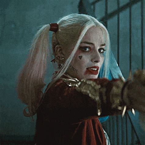 Harley Quinn  Harley Quinn Descobrir E Compartilhar S