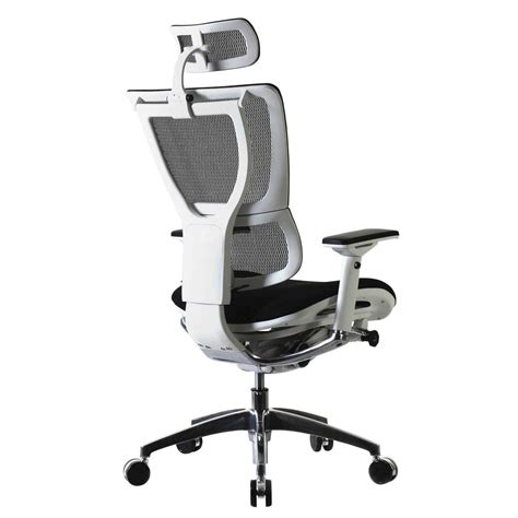 Ergohuman Highback All Mesh Ergonomic Executive Office Chair