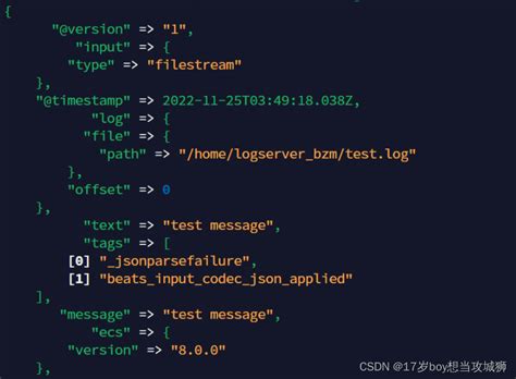 Elastic Stack 环境配置与框架简介elastic没有那么大空间 Csdn博客