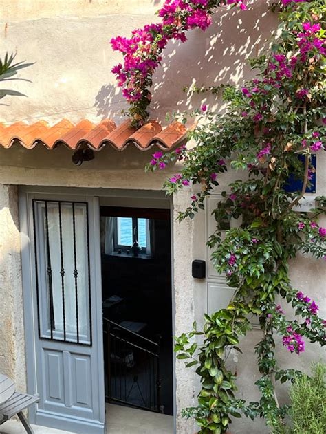 집 밖의 개화 한 건물 외관 건축 경치가 좋은 고요한 관상용 식물 교외의 꽃 꽃이 피는 녹지 다채로운 덩굴 덩굴식물 등산 덩굴 러스틱 매력적인