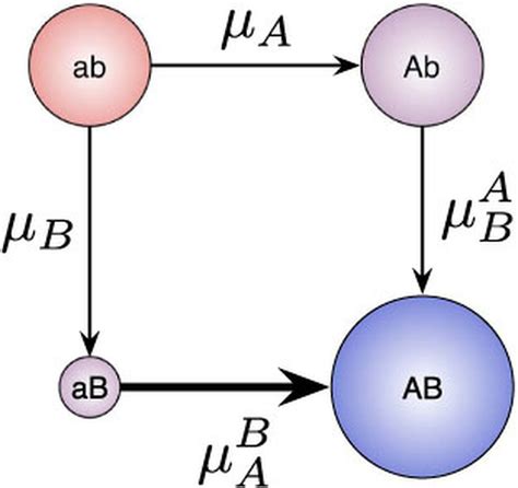 Mutational Pathways For A System With Two Loci There Are Two Different Download Scientific