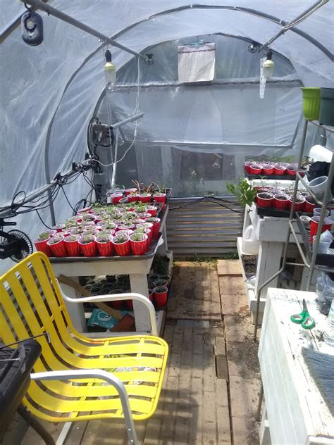 GitHub Thegroundhogwhisperer Ay Yahs Greenhouse Raspberry Pi Greenhouse Automation Project