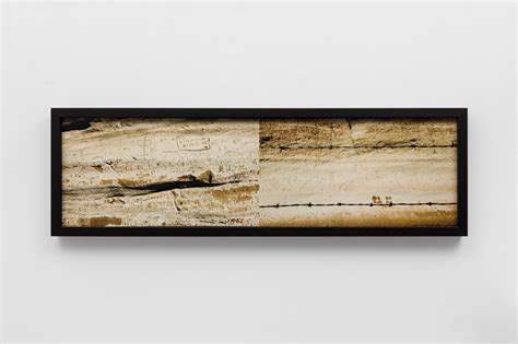 Tyler Eash Nicoletti