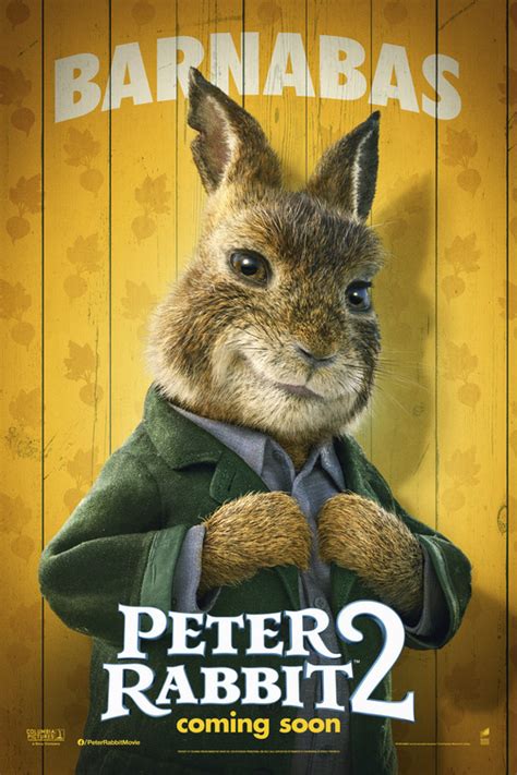 Peter Rabbit 2 The Runaway Aka Peter Rabbit 2 Movie Poster 13 Of