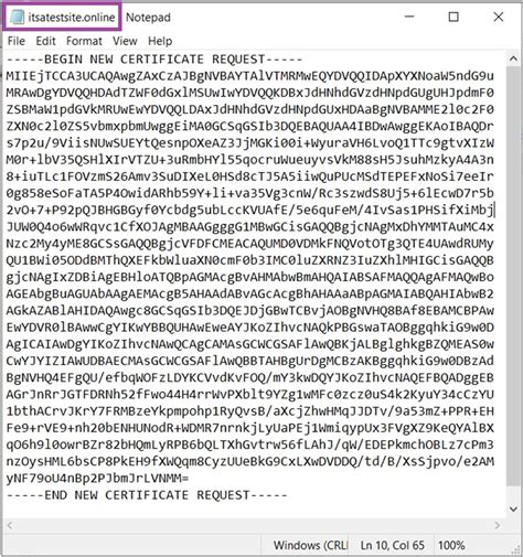 How To Install An Ssl Certificate On Window Server 2025 With Iis 10