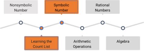 Mathematical Cognition Early Numeracy Development Flashcards Quizlet