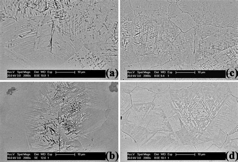 Sem Micrographs Of Unstrained Hot Rolled Specimens Of Download Scientific Diagram