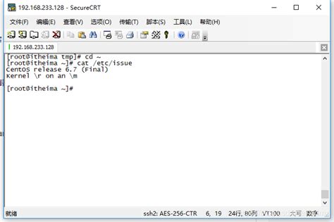 linux 文件内容查看 cat cat 只要第一横 csdn博客