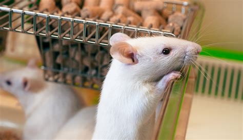 Facilities And Resources