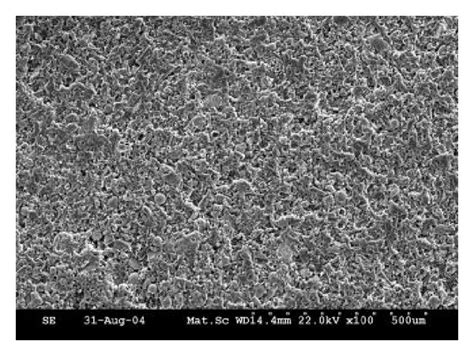 A Optical Micrograph Of The Composite B SEM Micrograph With Download Scientific Diagram