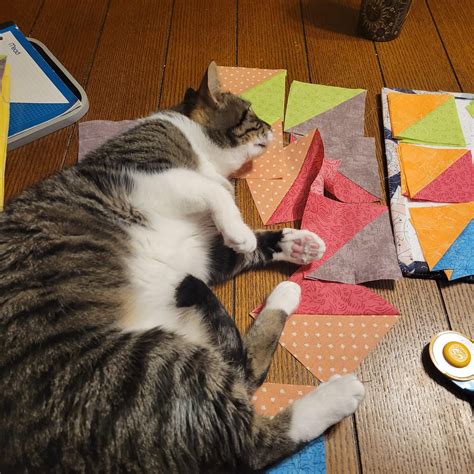 Tester Block Tester R Catsonquilts