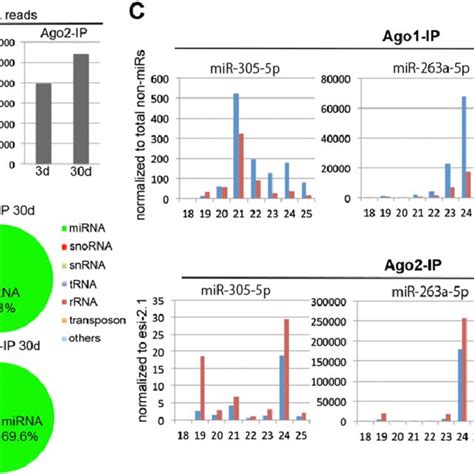 Ago1 Ip Versus Ago2 Ip Small Rna Deep Sequencing With Age A