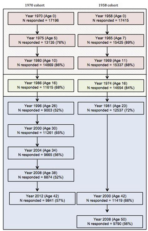 Flow Chart Of Ages At Which Atopic Eczema Activity Was Assessed