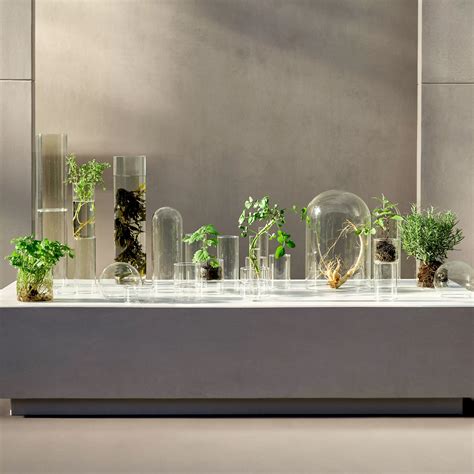 Dr Babor Ampoules Hopecosmetics