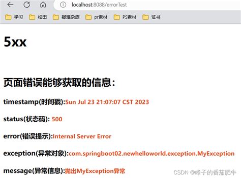 解决springboot错误页面exception、message取值为空 Csdn博客