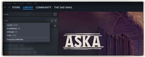 Aska Dedicated Server Setup Guide