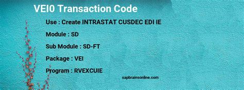 Vei0 Sap Tcode For Create Intrastat Cusdec Edi Ie