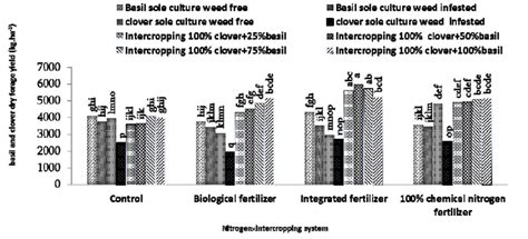 Nteraction Effect Of Nitrogen × Intercropping System On Basil And Download Scientific Diagram