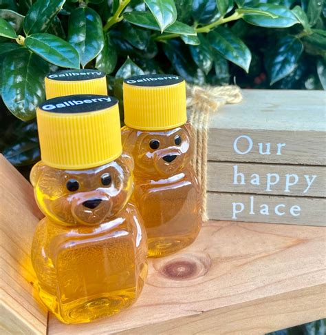 Mini Pure Honey Bear Bottles Bear Party Honey Favors Edible Party