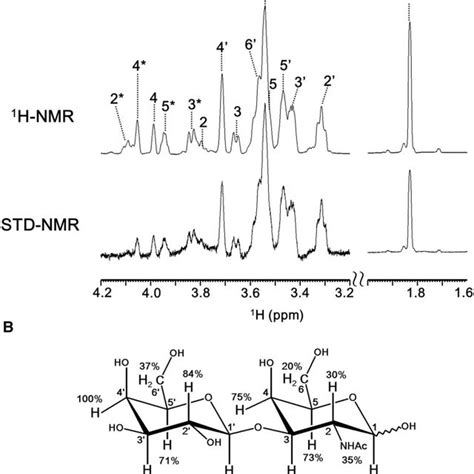 Schematic Presentation Of Pmtbipscfvv5hisx6 Expression Vector The