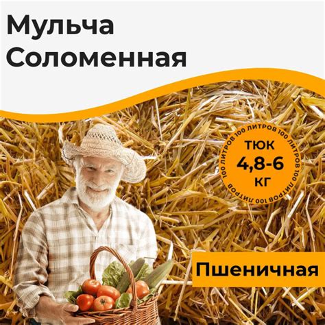 Солома пшеничная мульча для сада и огорода 100 литров, тюк 4,8-6 кг ...