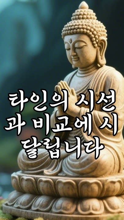 부자의 불안 명언 마음의소리로쓰는글 좋은글 인생조언 긍정의말 부처님말씀 철학 Youtube