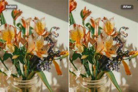 Unblur Image Free Online Deblur Image Tool AI Ease