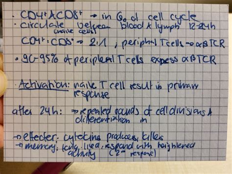 T Cell Activation Proliferation And Differentiation Flashcards Quizlet